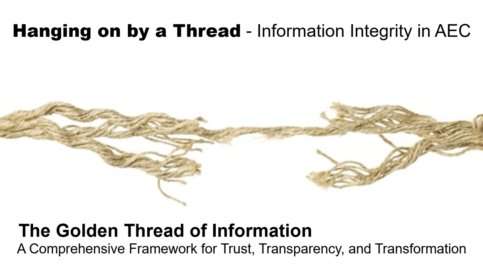 Hanging on by a Thread - Information Integrity in AEC ...